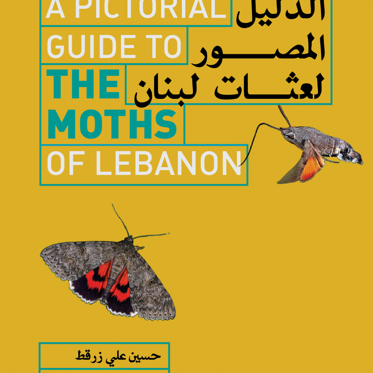 A Pocket Guide to Lebanese Medicinal Plants - Souk Al Hima